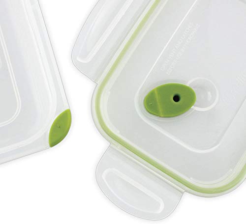 Sterilite Ultra Seal 3.1-Cup Rectangle See-Through Lid and Bases with New Leaf Accents, 6-Pack