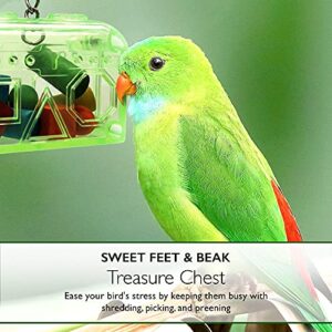 Sweet Feet and Beak Large or Small Treasure Chest - Perfect Bird Cage Toy Colorful, Safe, Easy to Install - Washable, Refillable, Non-Toxic, Foraging Box - Cage Accessories