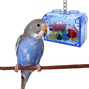 Sweet Feet and Beak Large or Small Treasure Chest - Perfect Bird Cage Toy Colorful, Safe, Easy to Install - Washable, Refillable, Non-Toxic, Foraging Box - Cage Accessories