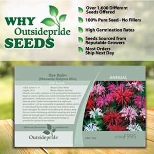 Outsidepride Monarda Didyma Bee Balm Flower Seed Mix for Butterflies, Hummingbirds, & Pollinators - 500 Seeds