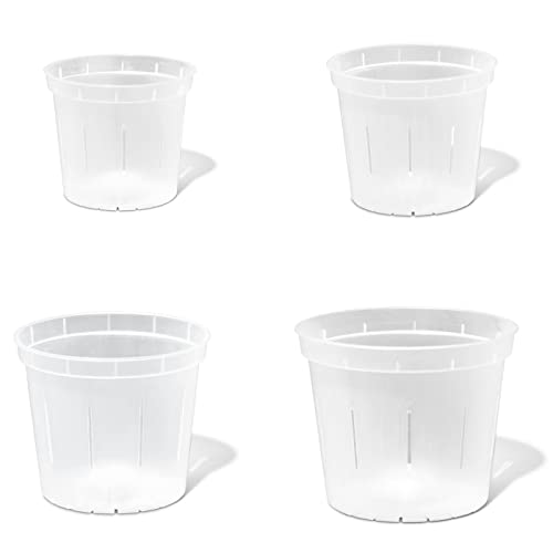 rePotme Orchid Pots - 8 Pack of Slotted Clear Pots with Holes, 3, 4, 5, 6 Inch Sizes for Indoor/Outdoor, Ideal for Repotting