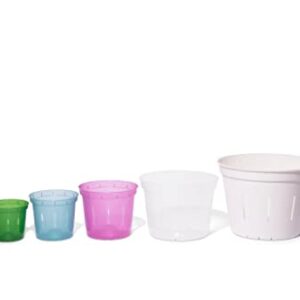 rePotme Orchid Pots - 8 Pack of Slotted Clear Pots with Holes, 3, 4, 5, 6 Inch Sizes for Indoor/Outdoor, Ideal for Repotting