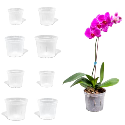 rePotme Orchid Pots - 8 Pack of Slotted Clear Pots with Holes, 3, 4, 5, 6 Inch Sizes for Indoor/Outdoor, Ideal for Repotting