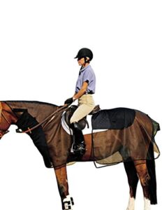 cashel quiet ride horse bug armor bundle set