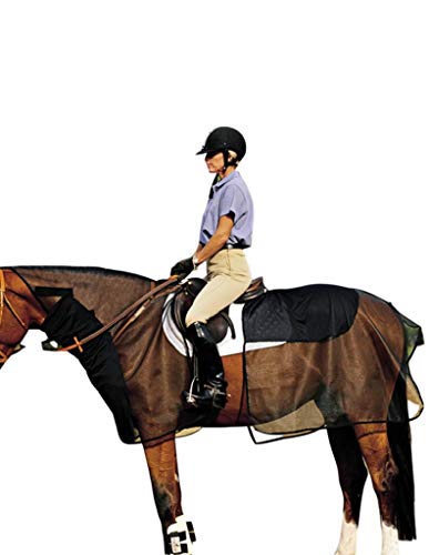 Cashel Quiet Ride Horse Bug Armor Bundle Set