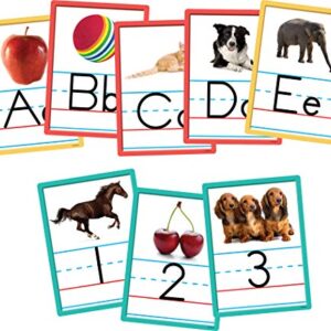 Edupress Alphabet and Numbers Accents, Pack of 36 Multicolored 6" x 8"