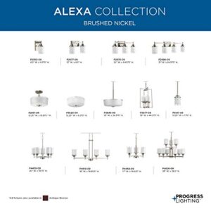 Progress Lighting P2978-09 Alexa Bath & Vanity, 22-Inch Width x 9-3/8-Inch Height, Brushed Nickel