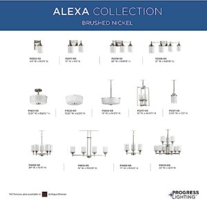 Progress Lighting P2978-09 Alexa Bath & Vanity, 22-Inch Width x 9-3/8-Inch Height, Brushed Nickel