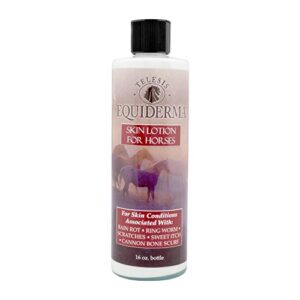 equiderma horse skin lotion for rain rot