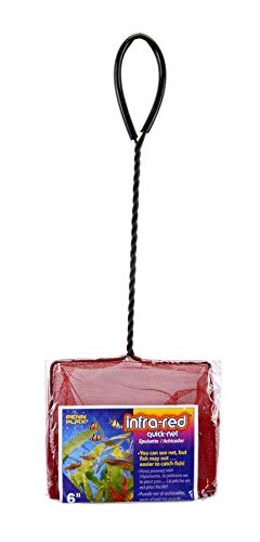 PENN-PLAX Infra-Red Quick-Net Aquarium Fish Net – Red Color for Invisibility – Durable, Strong, and Safe – 6” x 5” Net – 10” Handle