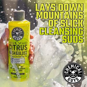 Chemical Guys CWS_301 Citrus Wash & Gloss Foaming Car Wash Soap (Works with Foam Cannons/ Guns or Bucket Washes) Safe for Cars, Trucks, Motorcycles, RVs & More, 128 fl oz (1 Gallon) Citrus Scent