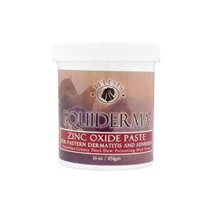 equiderma zinc paste