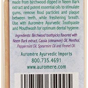 Auromere Ayurvedic Neem Toothpicks - Vegan, Natural, Non GMO, Made from Birchwood (100 Count) (1 Pack)