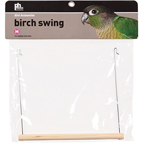 Small Bird Swing