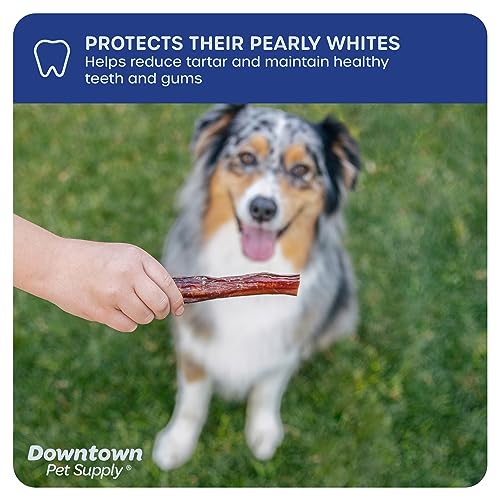 Downtown Pet Supply 12 inch 4 Pack of Bully Sticks for Medium Dogs & Large Dogs, Single Ingredient, Rawhide-Free Long Lasting Bully Sticks for Large Dogs- No Hide Bullsticks for Bully Stick Holder