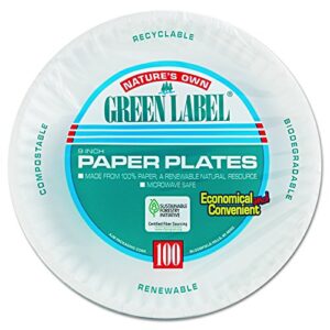 AJM Packaging - AJMPP9GRAWH Corporation PP9GRAWH Paper Plates, 9" Diameter, White, 12 Packs of 100 (Case of 1200)