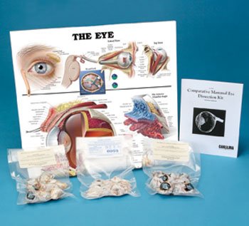 Comparative Mammalian Eye Dissection Kit