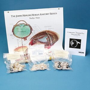 comparative mammalian eye dissection kit