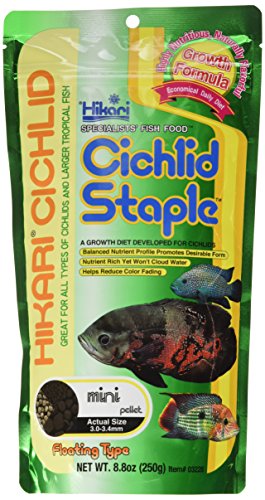 Hikari 8.8-Ounce Cichlid Staple Floating Pellets for Pets, Mini