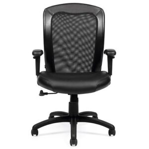 Ergonomic Chair, Mesh Back, Luxhide Seat, Black