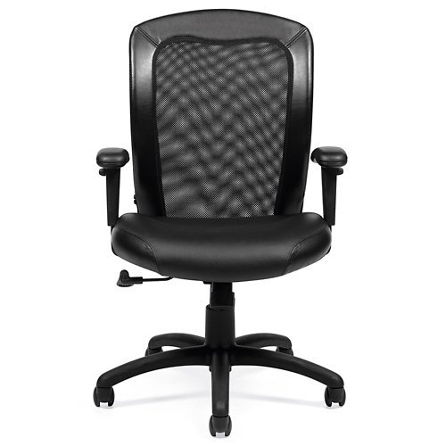 Ergonomic Chair, Mesh Back, Luxhide Seat, Black