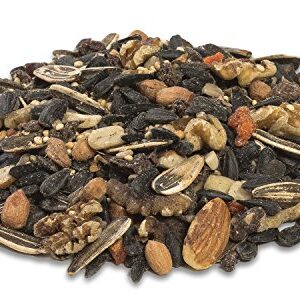 Audubon Park Songbird Selections 11980 Multi Wild Bird Food with Fruits and Nuts, 15 lb