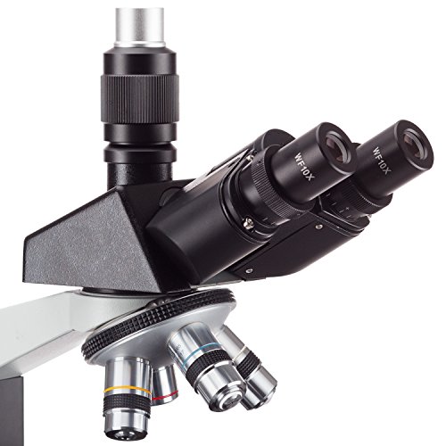 AmScope T490B Compound Trinocular Microscope, 40X-2000X Magnification, Halogen Light, Abbe Condenser, 2-Layer Mechanical Stage, High-Resolution Optics, Awarded No. 6 Among The Top 10 Microscopes 2016