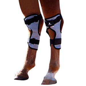 classic equine magntx hock wrap