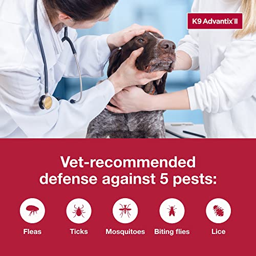 K9 Advantix II XL Dog Vet-Recommended Flea, Tick & Mosquito Treatment & Prevention | Dogs Over 55 lbs. | 6-Mo Supply