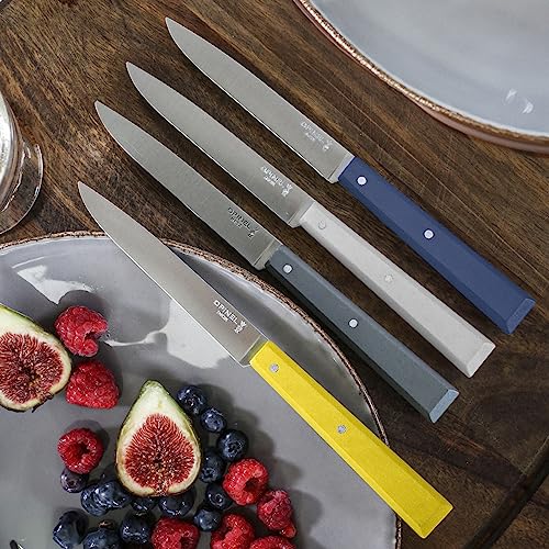 Opinel No. 125 Table Knives, 4 Piece Set, High Carbon Steel Dinner Knives for Parties, Entertaining, or Everyday Use, Painted Hornbeam Handles, Made in France (POP),ys/m,254225