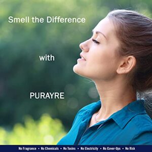 PURAYRE Plug-In Ionic Air Purifier & Air Sanitizer: 110 Volt USA Model