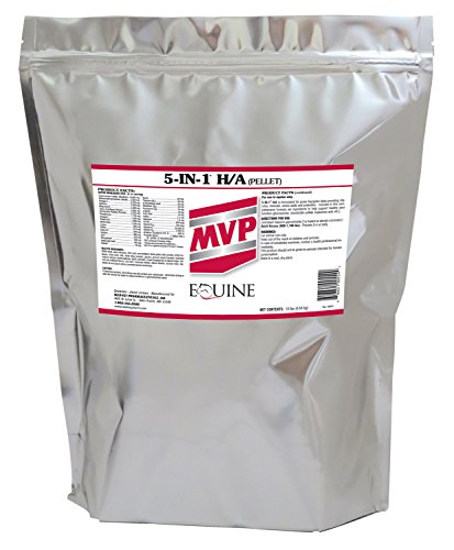 Med-Vet Pharmaceuticals 5-in-1 H/A (10lb) All in One Support for Horses.