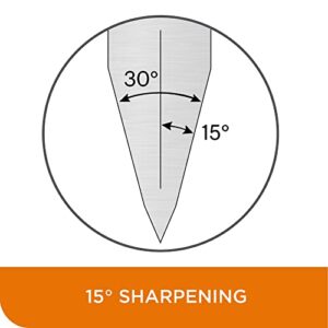 Chef'sChoice EdgeSelect Professional Electric Knife Straight and Serrated Knives Diamond Abrasives Patented Sharpening System, 3-Stage, Metallic