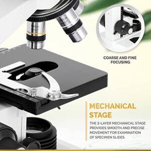 AmScope B490B Compound Binocular Microscope, WF10x and WF20x Eyepieces, 40X-2000X Magnification, Brightfield, Halogen Illumination, Abbe Condenser, Double-Layer Mechanical Stage, Sliding Head, High-Resolution Optics, Anti-Mold , White