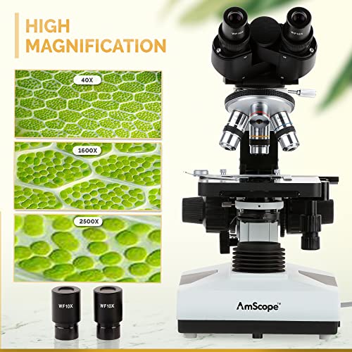 AmScope B490B Compound Binocular Microscope, WF10x and WF20x Eyepieces, 40X-2000X Magnification, Brightfield, Halogen Illumination, Abbe Condenser, Double-Layer Mechanical Stage, Sliding Head, High-Resolution Optics, Anti-Mold , White