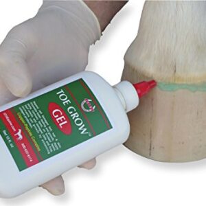 SBS Equine Toe Grow Gel - Horse Hoof Care Product Promotes Hoof Growth and Healing - Increases Blood Flow and Collagen Production - 10oz