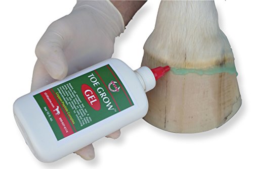 SBS Equine Toe Grow Gel - Horse Hoof Care Product Promotes Hoof Growth and Healing - Increases Blood Flow and Collagen Production - 10oz