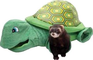 marshall pet turtle tunnel