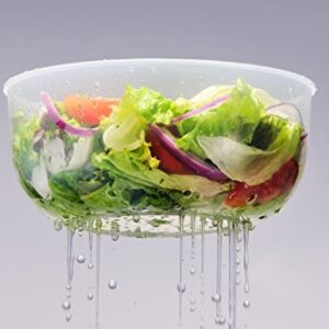 LOCK & LOCK SPECIAL Salad Bowl Food Storage Container with Draining tray 135.26-oz / 16.91-cup