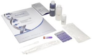 edvotek 109 dna fingerprinting i - i.d. of dna by restriction fragmentation patterns, for 8 gels