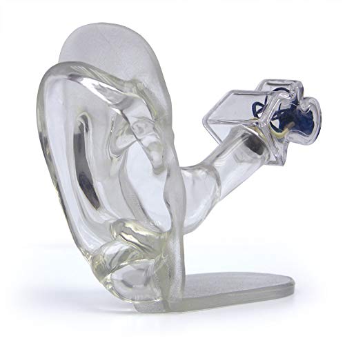 GPI Anatomicals - Clear Ear Model | Human Body Anatomy Replica of Ear for Doctors Office Educational Tool