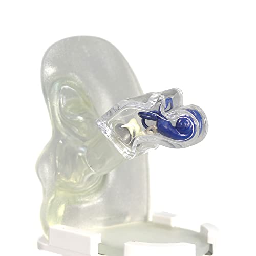 GPI Anatomicals - Clear Ear Model | Human Body Anatomy Replica of Ear for Doctors Office Educational Tool