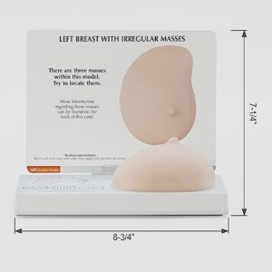 GPI Anatomicals - Human Anatomy Model of Left Breast with Irregular Masses, Replica for Anatomy and Physiology Education, Anatomy Model for Doctor's Office and Classrooms, Medical Study Supplies