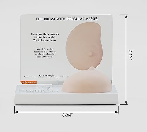 GPI Anatomicals - Human Anatomy Model of Left Breast with Irregular Masses, Replica for Anatomy and Physiology Education, Anatomy Model for Doctor's Office and Classrooms, Medical Study Supplies