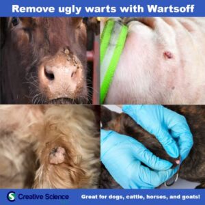 Creative Science Wartsoff Wart Removal Ointment | 4 oz | Easily and Painlessly Remove Warts from Dogs, Cattle, Horses, and Goats