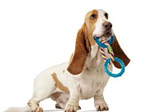 Petstages Orka Dental Links Dog Chew Toy