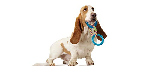 Petstages Orka Dental Links Dog Chew Toy