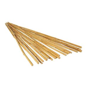 hydrofarm hgbb4 4' natural, pack of 25 bamboo stake, tan