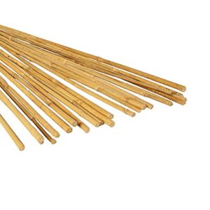 Hydrofarm HGBB4 4' Natural, pack of 25 Bamboo Stake, Tan