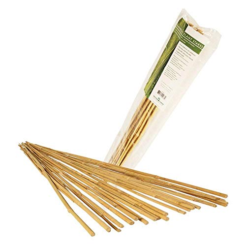 Hydrofarm HGBB4 4' Natural, pack of 25 Bamboo Stake, Tan